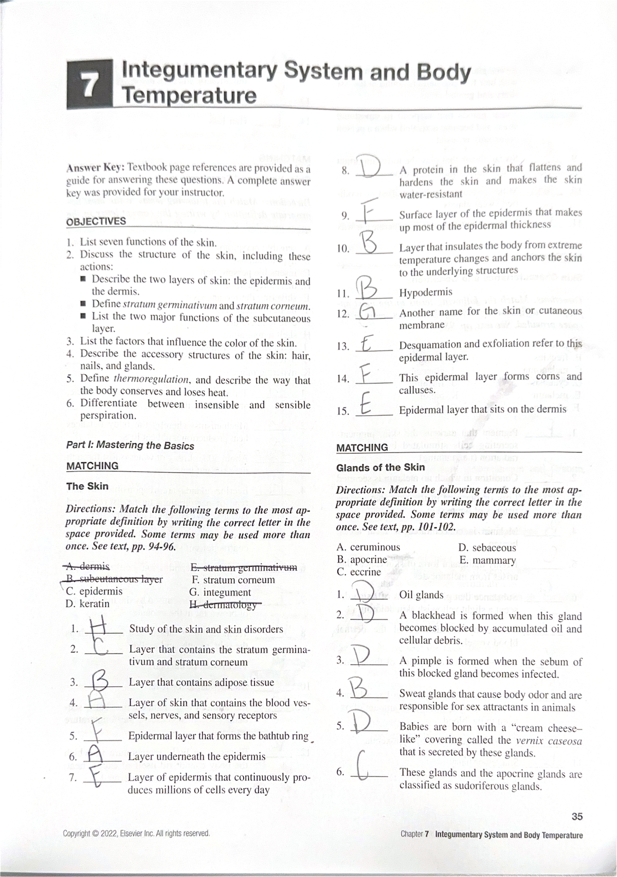 Chapter 7 - Integumentary System & Body Temp Worksheet Answers - Studocu