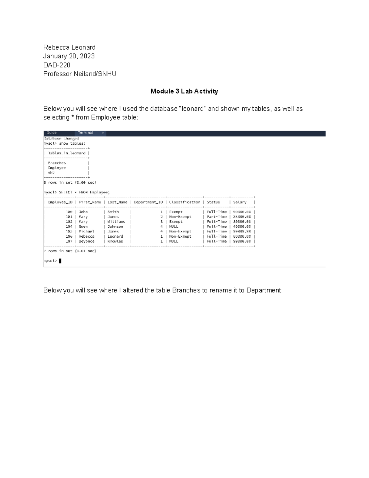 Module 3 Lab activity - Rebecca Leonard January 20, 2023 DAD- Professor Neiland/SNHU Module 3 ...