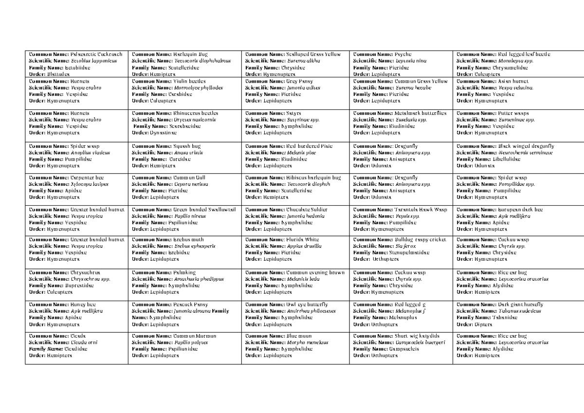 Insect Identification Card: Common & Scientific Names of Various ...