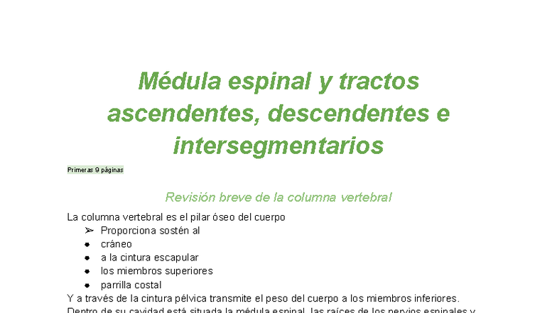 Médula espinal y tractos ascendentes, descendentes e intersegmentarios ...