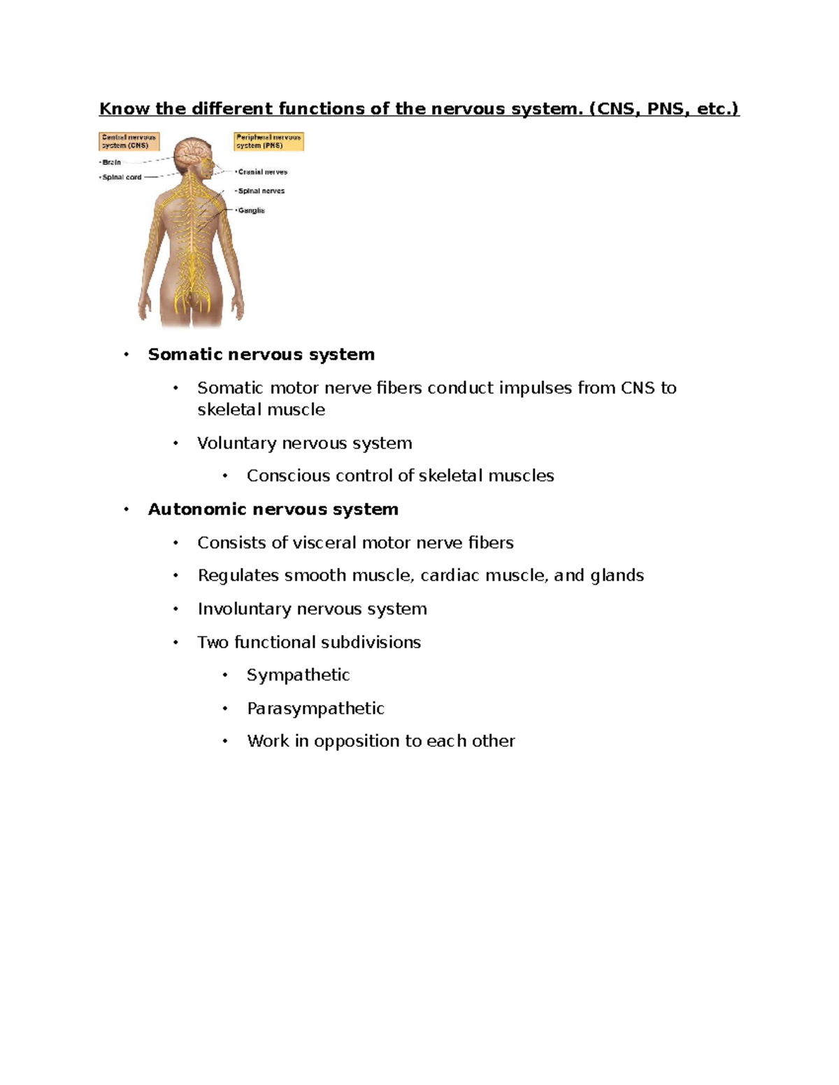 Final Exam Study Guide: Functions of the Nervous System (A&P) - Studocu