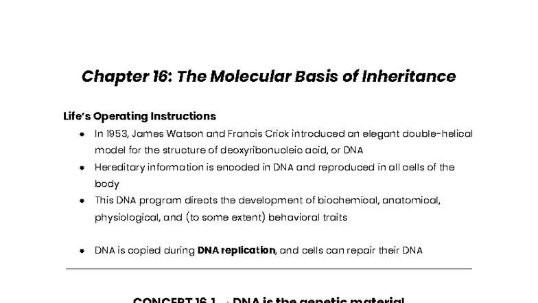 Chapter 16: The Molecular Basis of Inheritance - DNA Structure ...