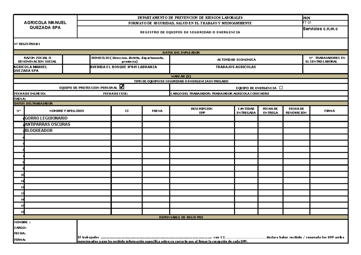 Registro de EPP - Seguridad y Salud en el Trabajo FT 01 - Studocu