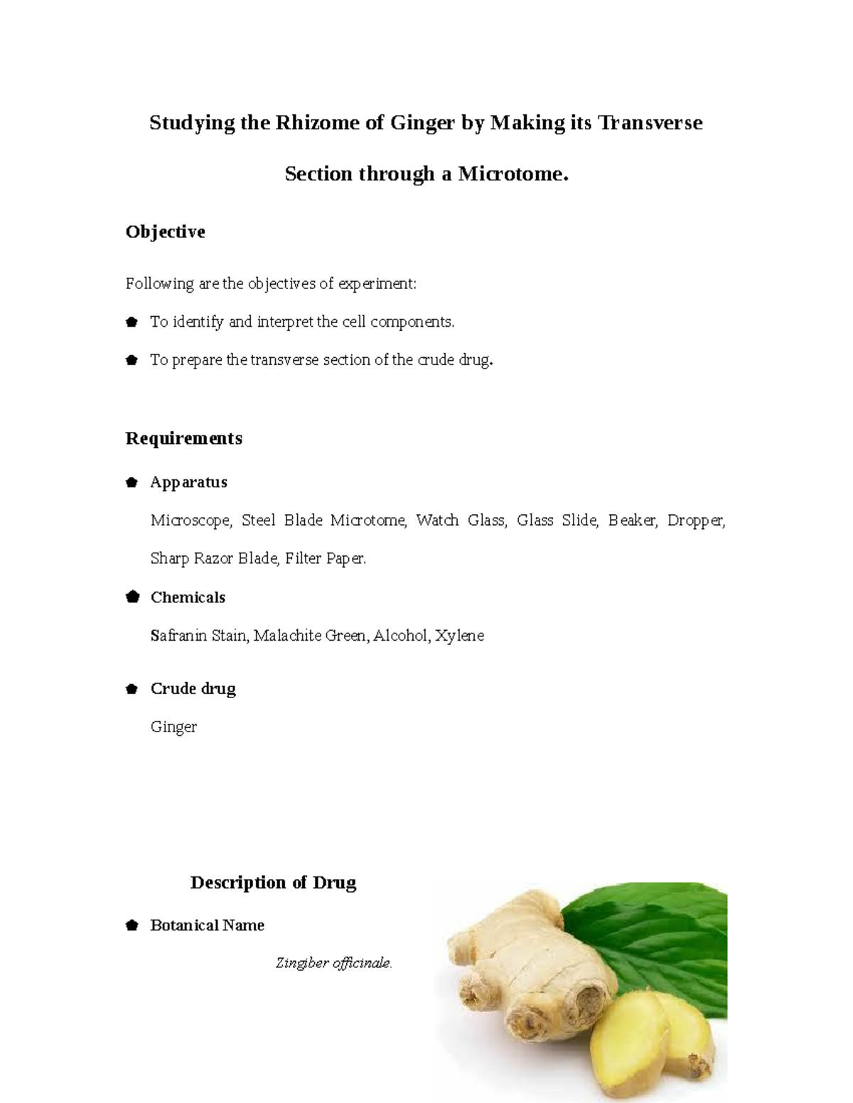 Ginger through Microtome - Studying the Rhizome of Ginger by Making its ...