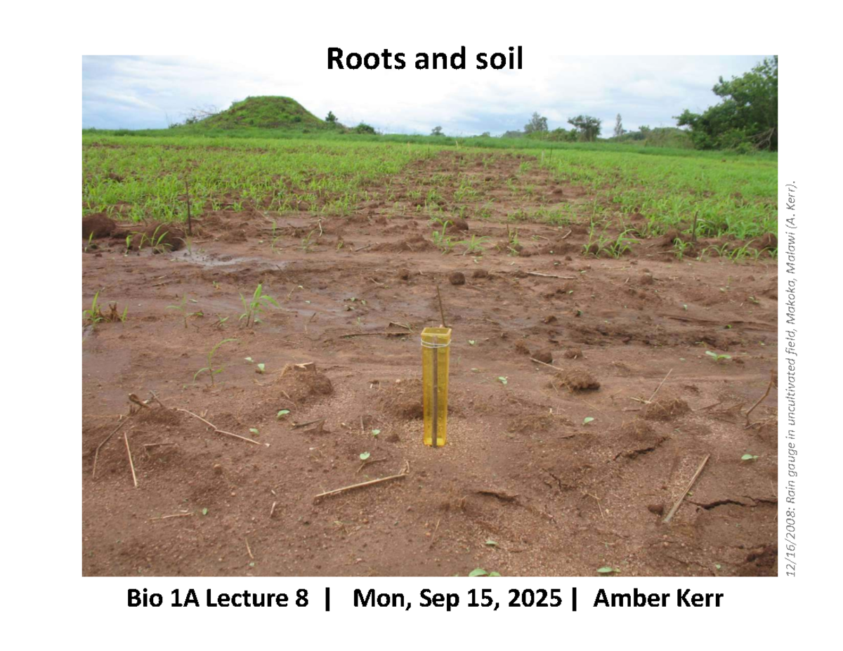 Bio 1A Lecture 8: Roots and Soil Overview (Sep 15, 2025) - Studocu