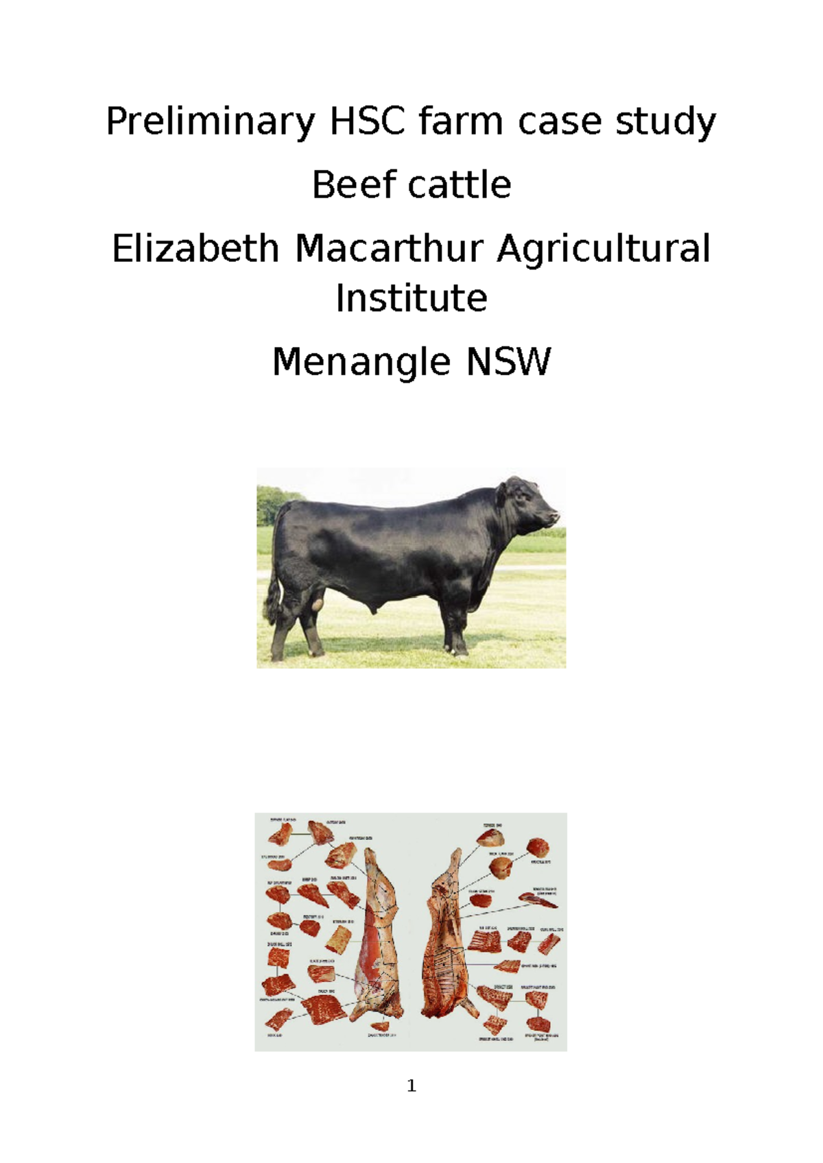 HSC Case Study: Beef Cattle Farming at Elizabeth Macarthur Institute ...