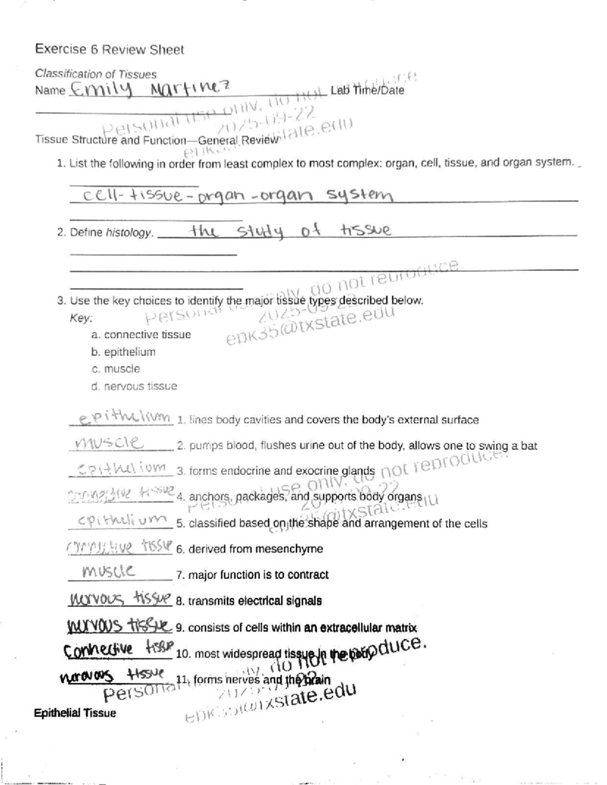 Exercise 6 Review Sheet: Classification of Tissues - Studocu