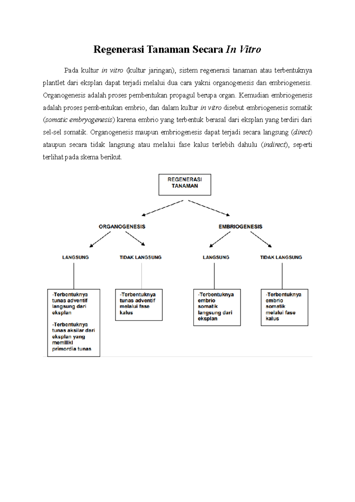 Kultur In Vitro: Regenerasi Tanaman Melalui Organogenesis dan ...