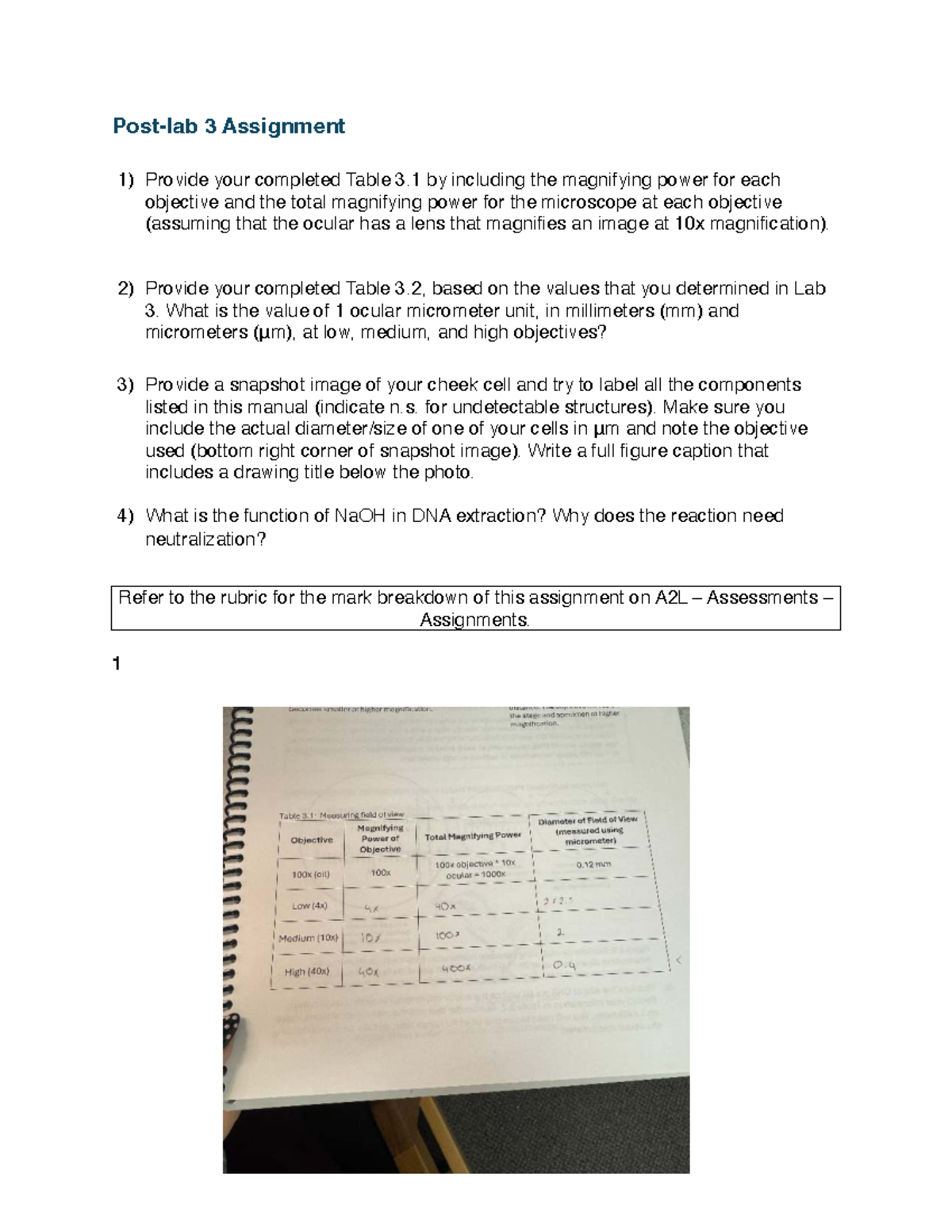 Post-Lab 3 Assignment: Microscope Objectives & DNA Extraction Analysis ...