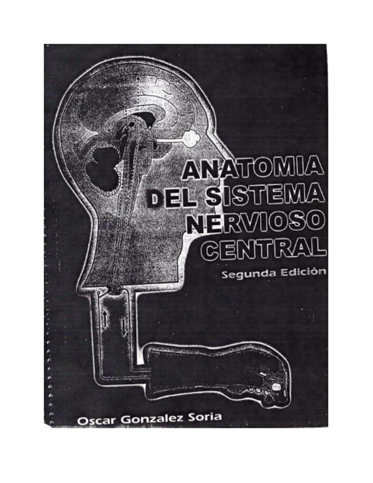 Anatomía del SNC - Notas de Estudio sobre el Sistema Nervioso Central ...