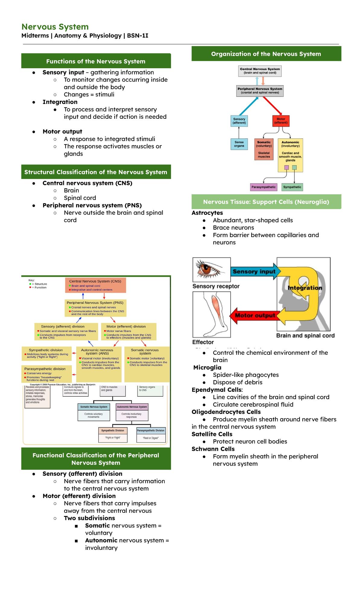 Nervous System - Anaphy -Dullin ; Marieb - Nervous System Midterms ...