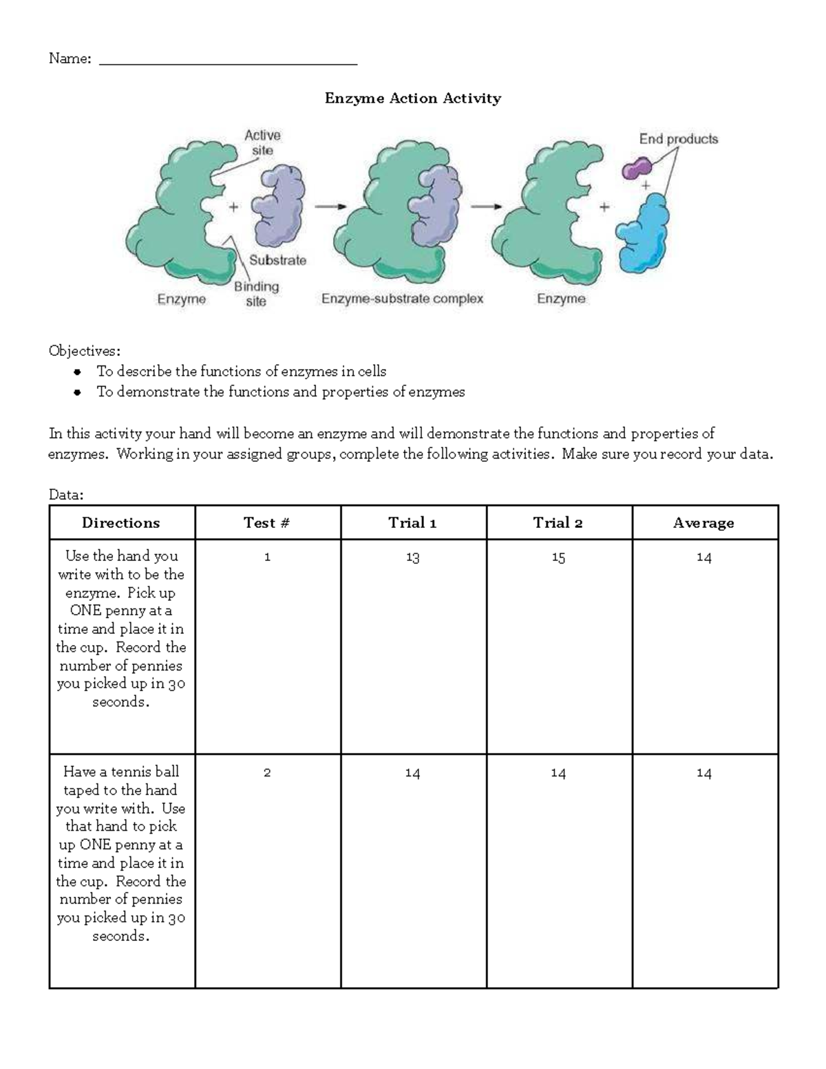 Enzyme Action Activity Lab (Bozeman Enzymes) - Studocu