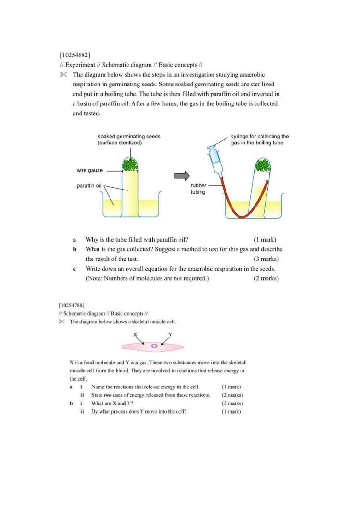 Bio B - Anaerobic Respiration and DNA Fingerprinting Concepts - Studocu