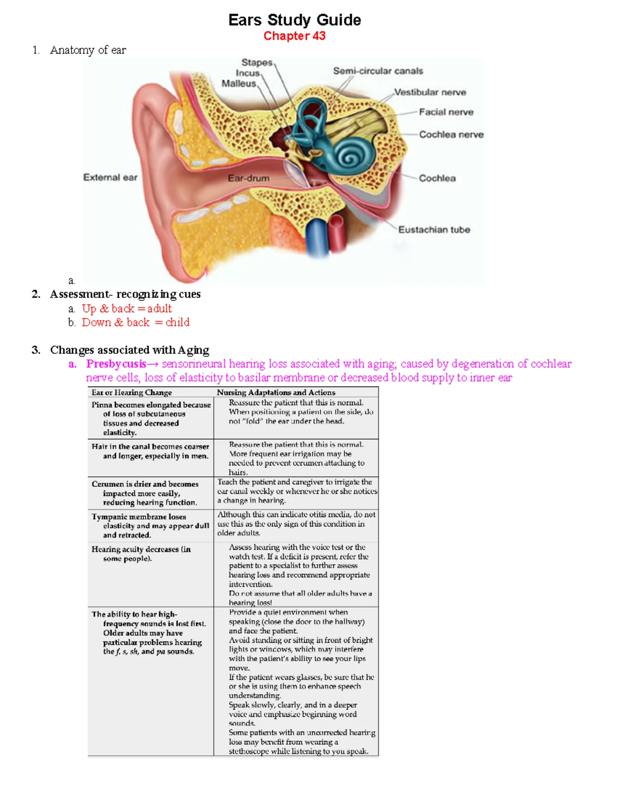 Cancer Study Guide: Malignant Cells, Grading, Staging & Nursing Care ...