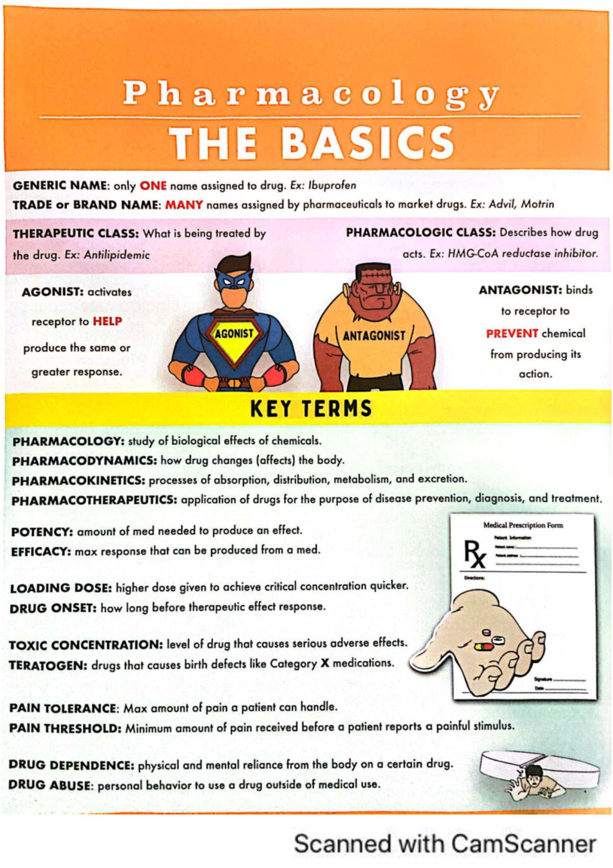 Pharmacology Basics: Key Terms and Concepts for Understanding Drugs ...