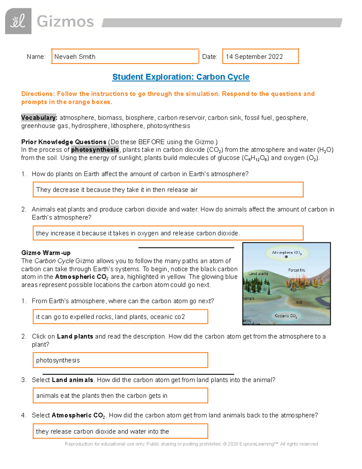 Carbon Cycle Student Exploration (SE) Overview & Insights - Studocu