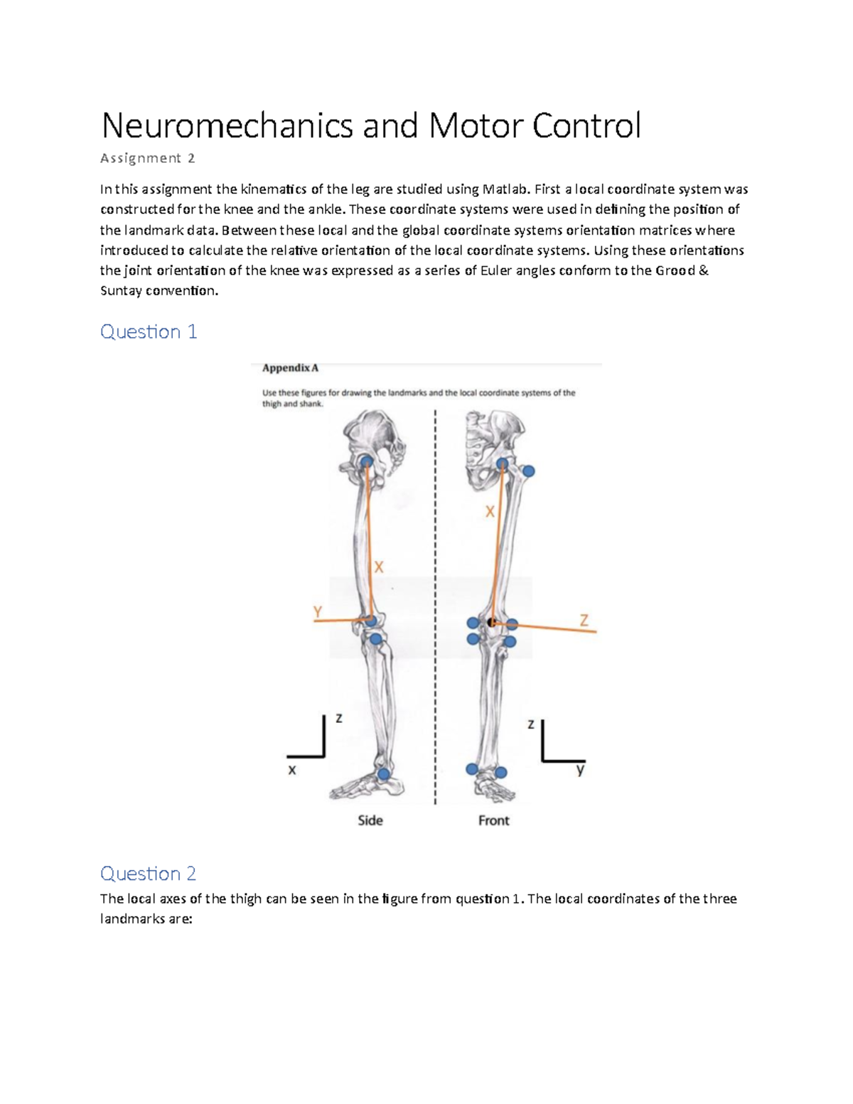 Assignment 2 - 2023 - Neuromechanics and Motor Control Assignment 2 In ...