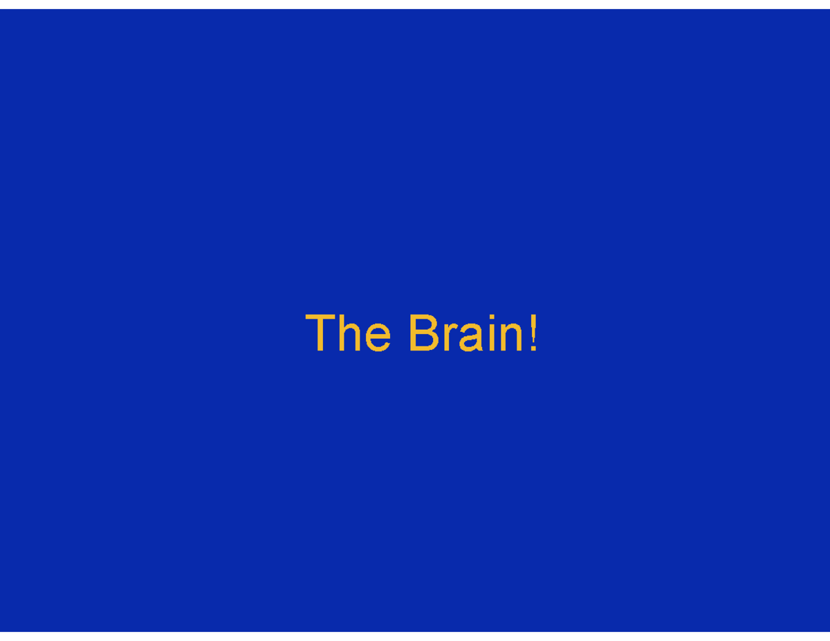 Neuroanatomy Overview: Brain Structure & Function Notes (BIO 101) - Studocu
