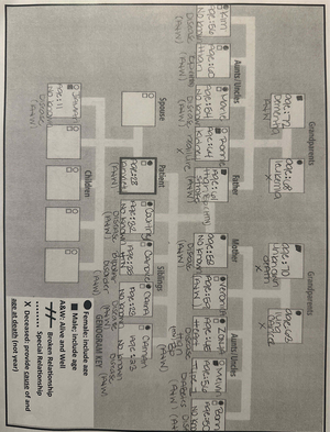 Basic concept form+falling+leaves 21 - NSG 357 - ACTIVE LEARNING ...