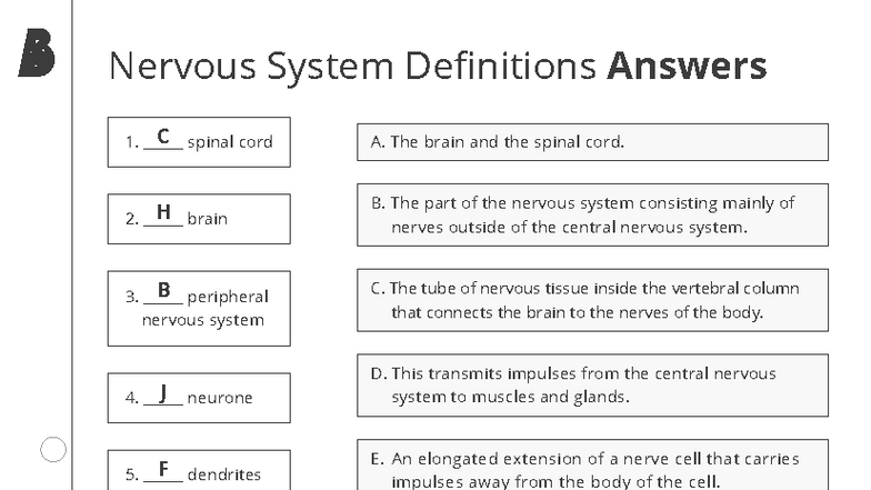 Nervous System Definitions - Matching Activity Answers - Studocu