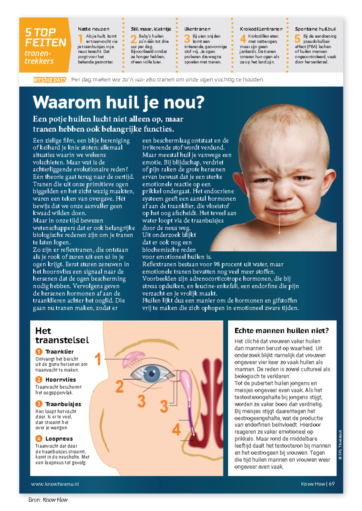 HUILEN EN DE FUNCTIE VAN TRANEN - Een leerzame leestekst - Studeersnel