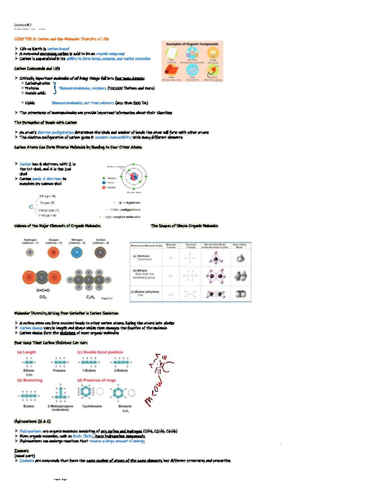 Lecture 3 Notes - CHAPTER 3: Carbon and the Molecular Diversity of Life ...