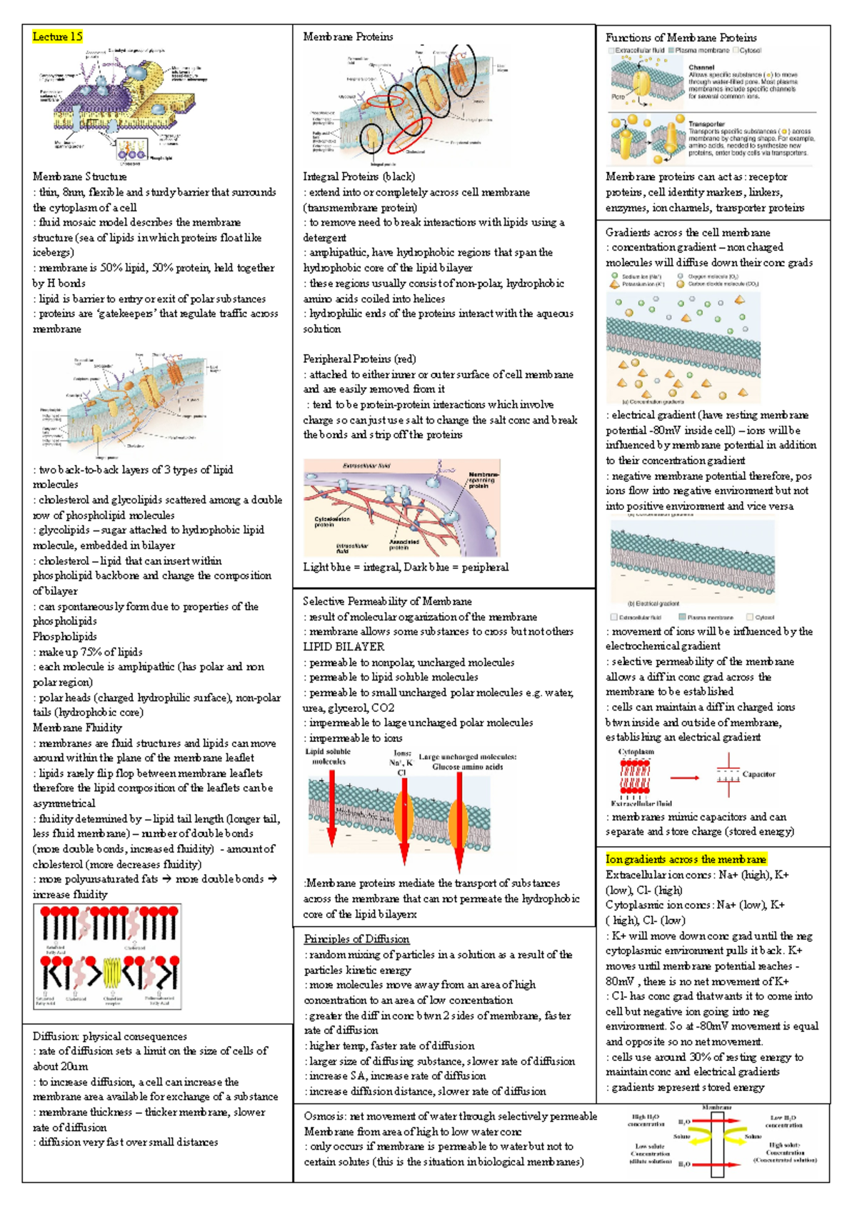 Module 4-7: Membrane Proteins, Transport Mechanisms, and Muscle ...
