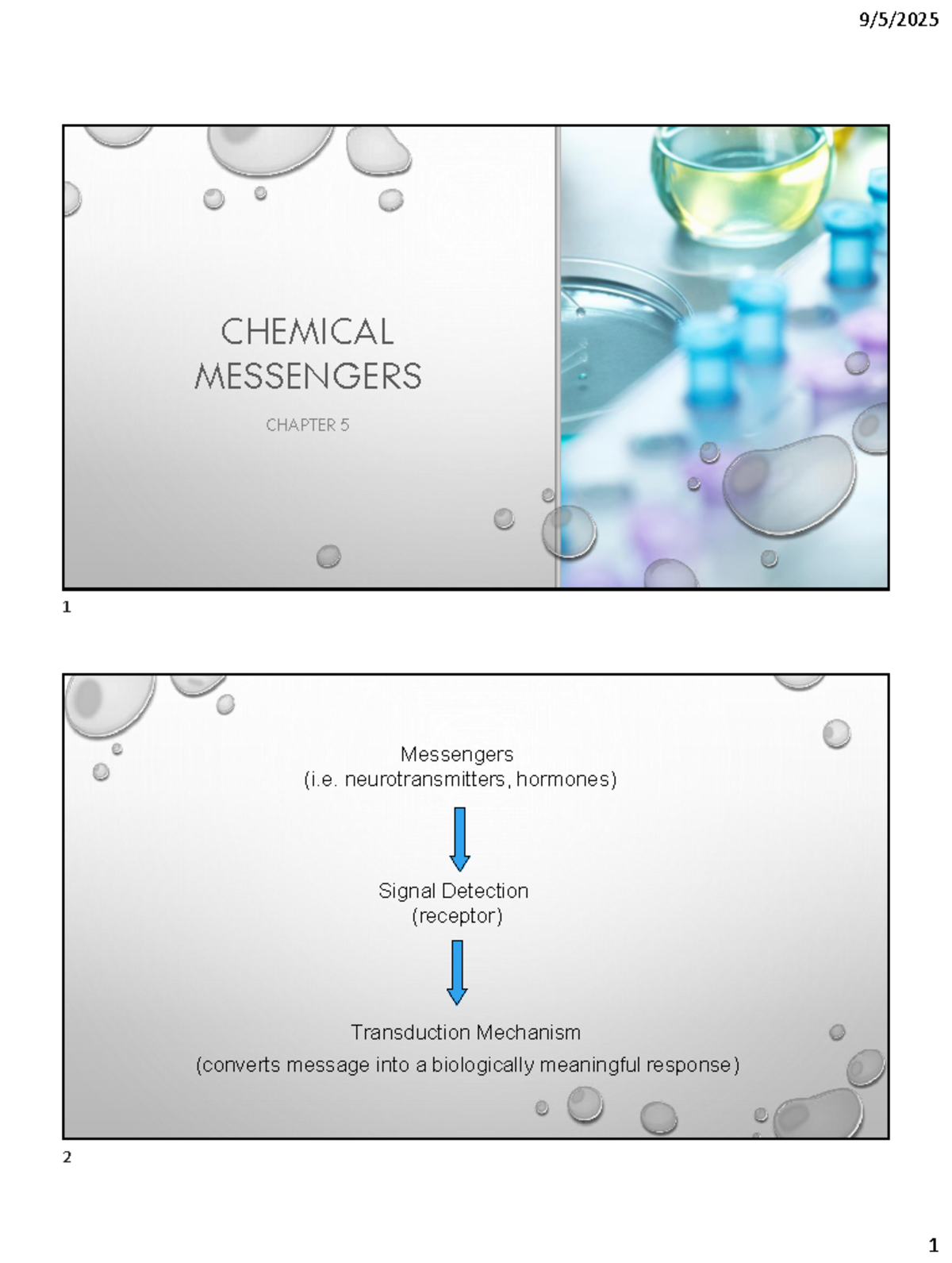 Chemical Messengers & Signal Transduction - CH 5 Notes - Studocu