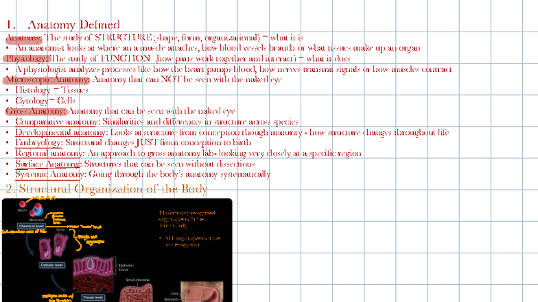 Human Anatomy CH1 Lecture 1: Structure & Function Overview - Studocu
