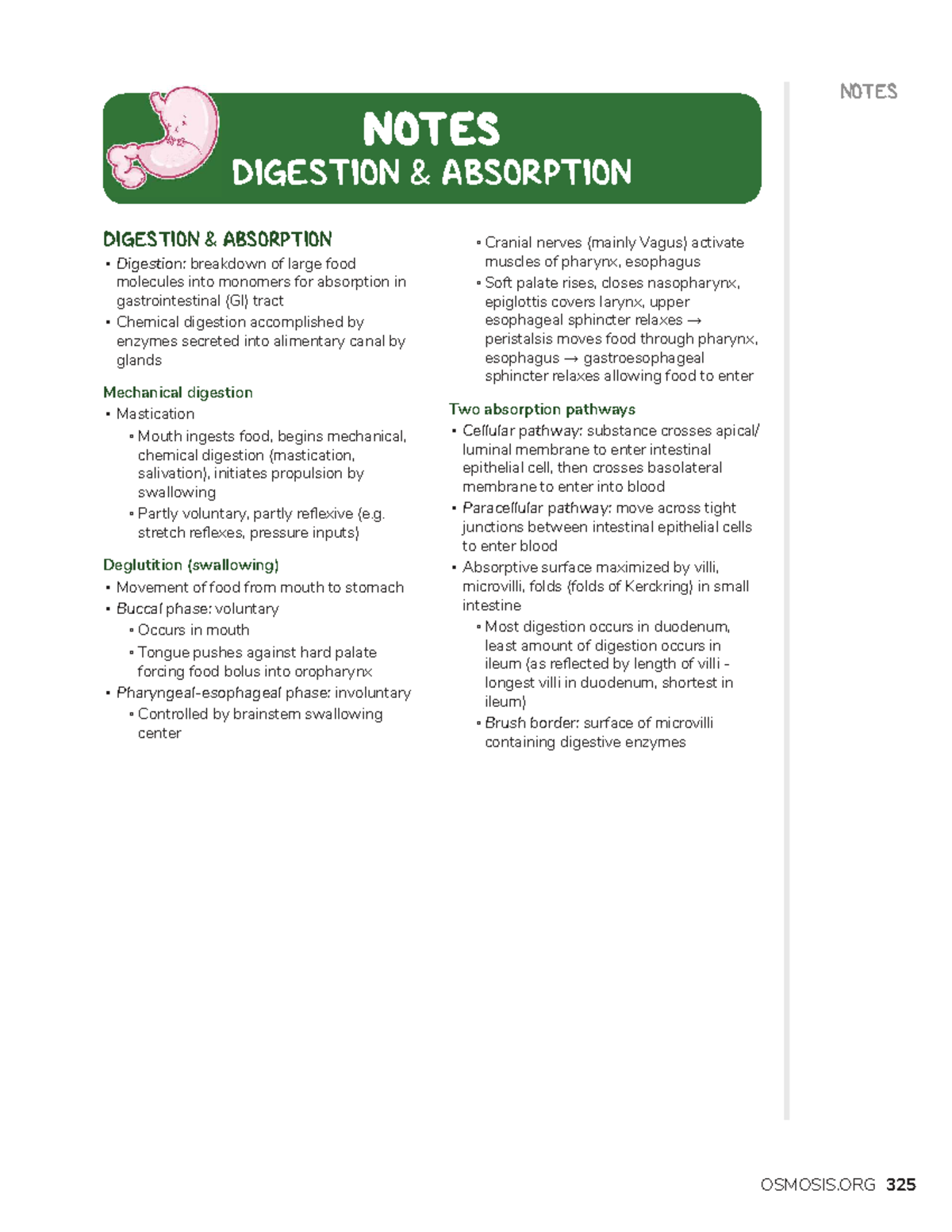 Digestion and Absorption: Comprehensive Notes for BIO 101 - Studocu