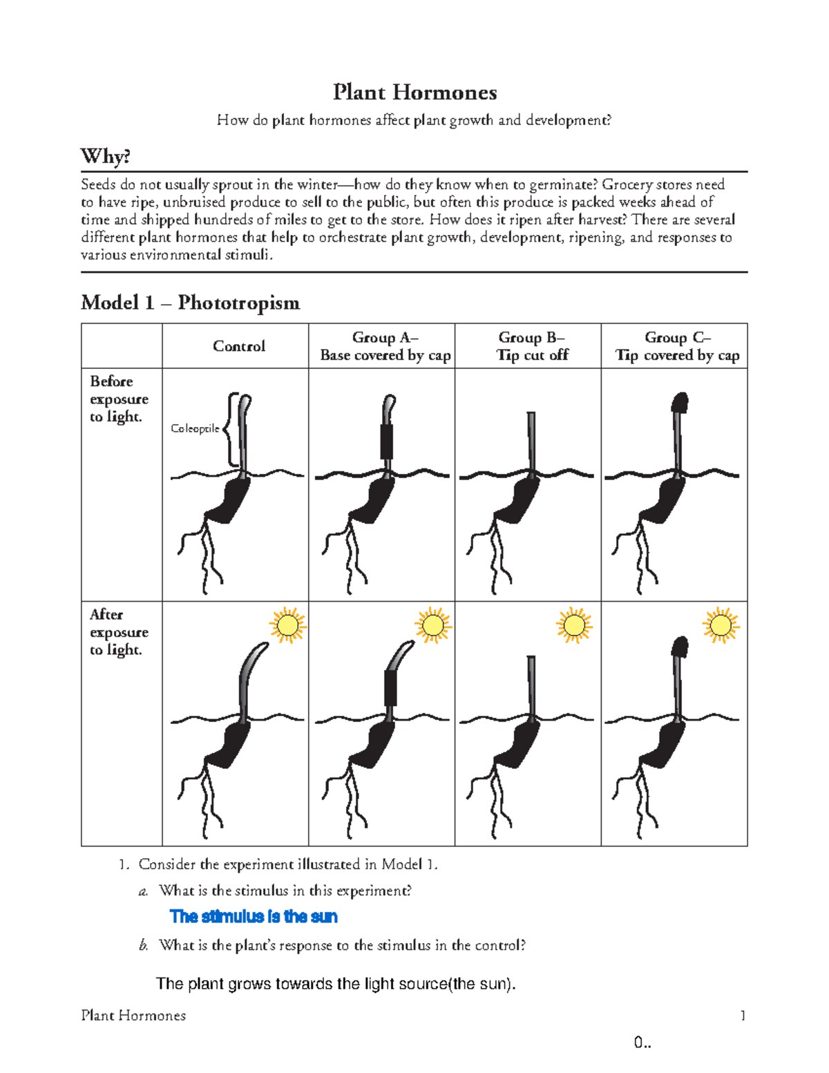 31 Plant Hormones - AP Biology Lecture Notes on Growth & Development ...