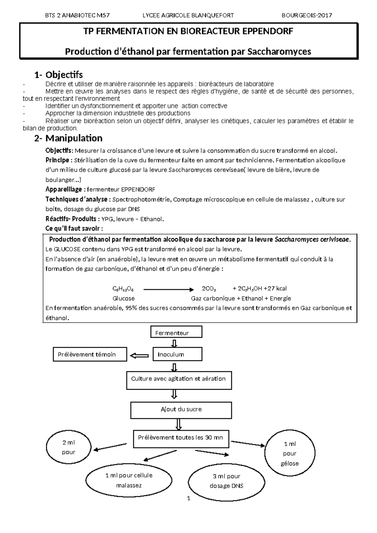 TP Fermentation EN Bioreacteur Eppendorf 2024: Production d'Ethanol ...