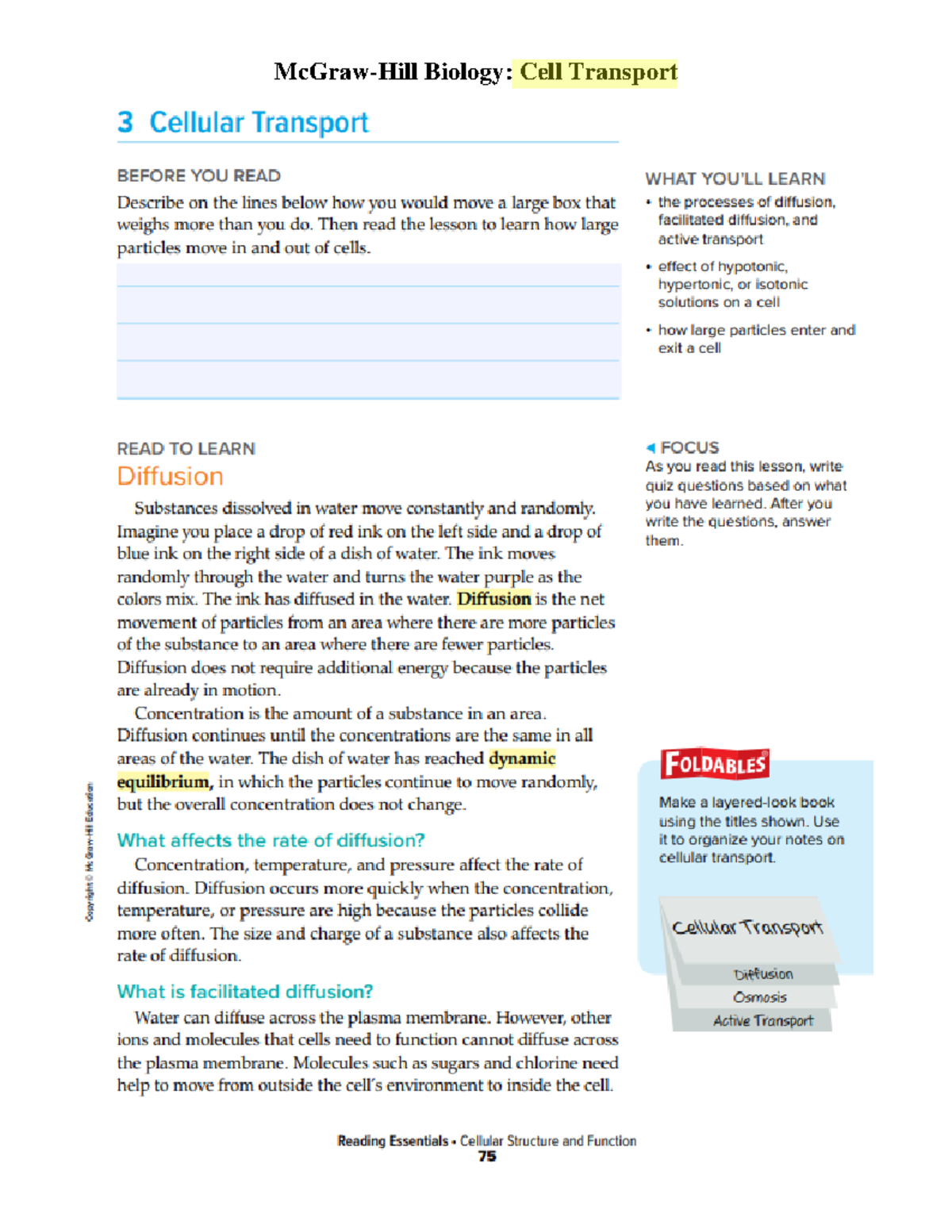 Passive Transport Overview from McGraw-Hill Biology Resource - Studocu