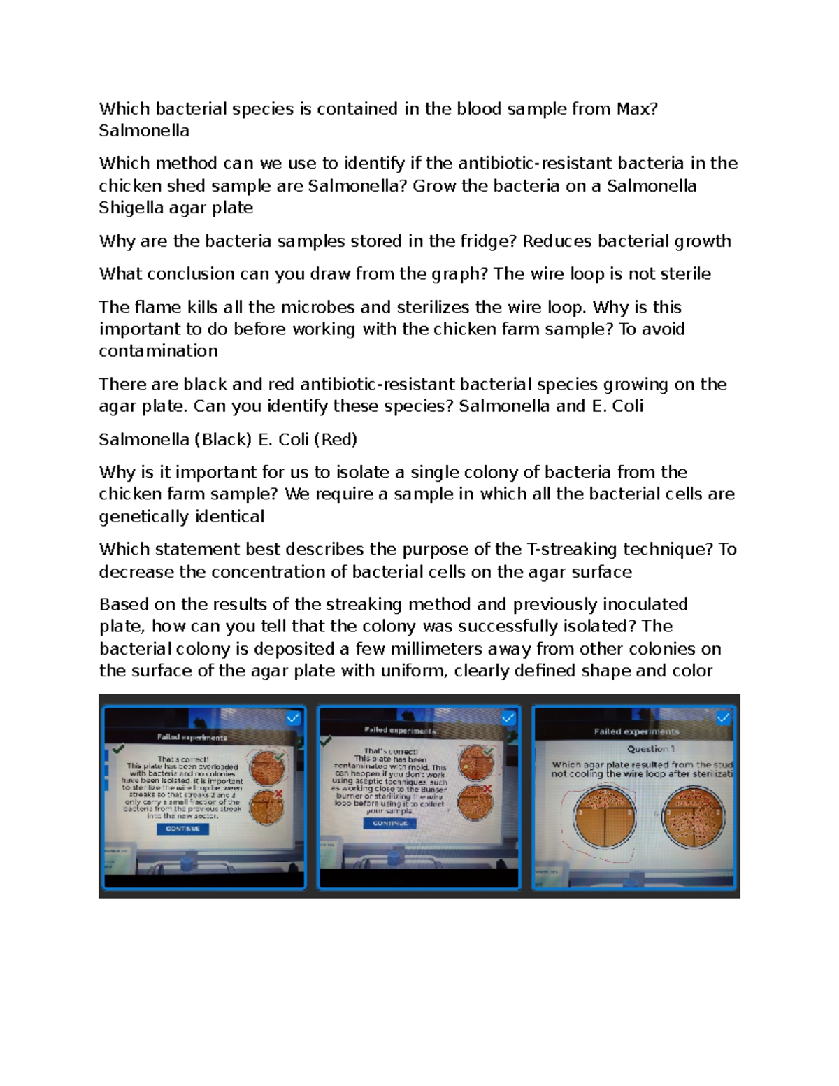 Labster Answers - Week 1: Bacterial Isolation Techniques - Studocu