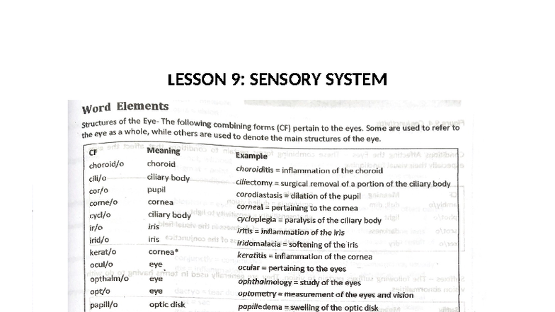 Medical terminology - Radiologic Technology - LESSON 9: SENSORY SYSTEM ...