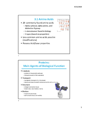 [Solved] QUESTION 32 Check the Quichua Inca and Aymara instruments ...