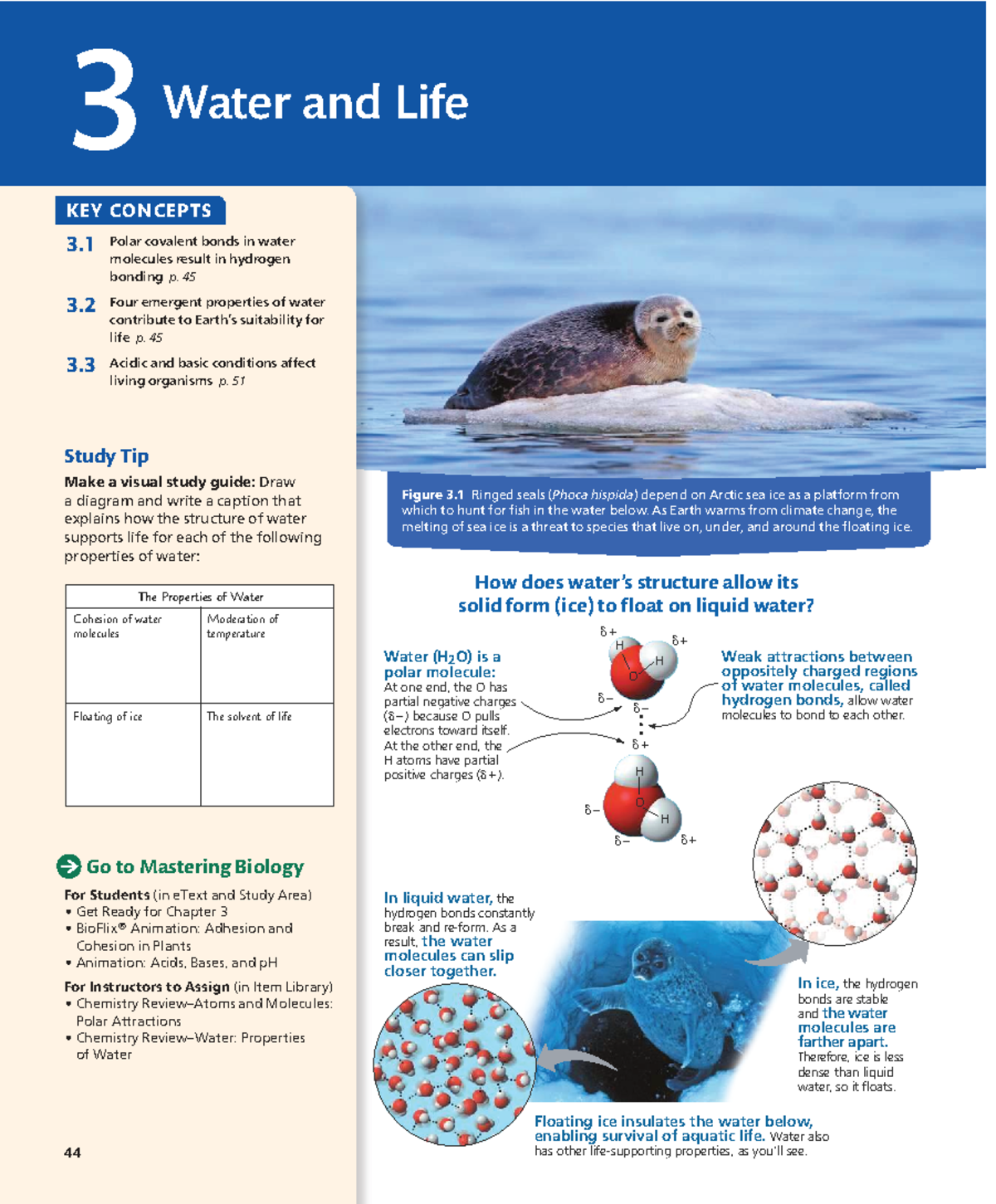 BIO 101: Chapter 3 - Water and Life Key Concepts and Study Guide - Studocu