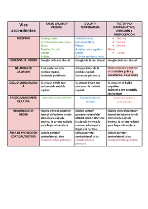 Signos Abdominales - SIGNOS ABDOMINALES SIGNO DESCRIPCIÓN DIAGNÓSTIC O ...