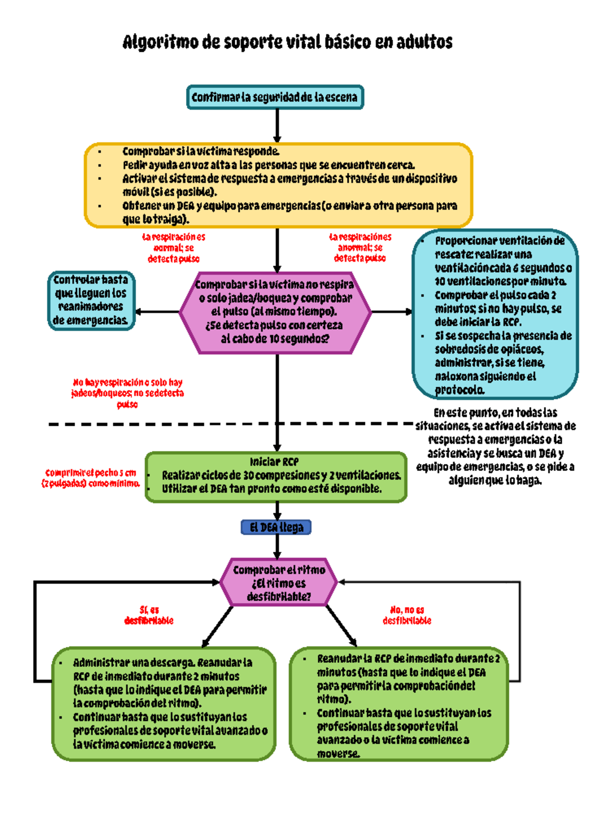 Algoritmo de Soporte Vital Básico en Adultos: Guía de Emergencia - Studocu