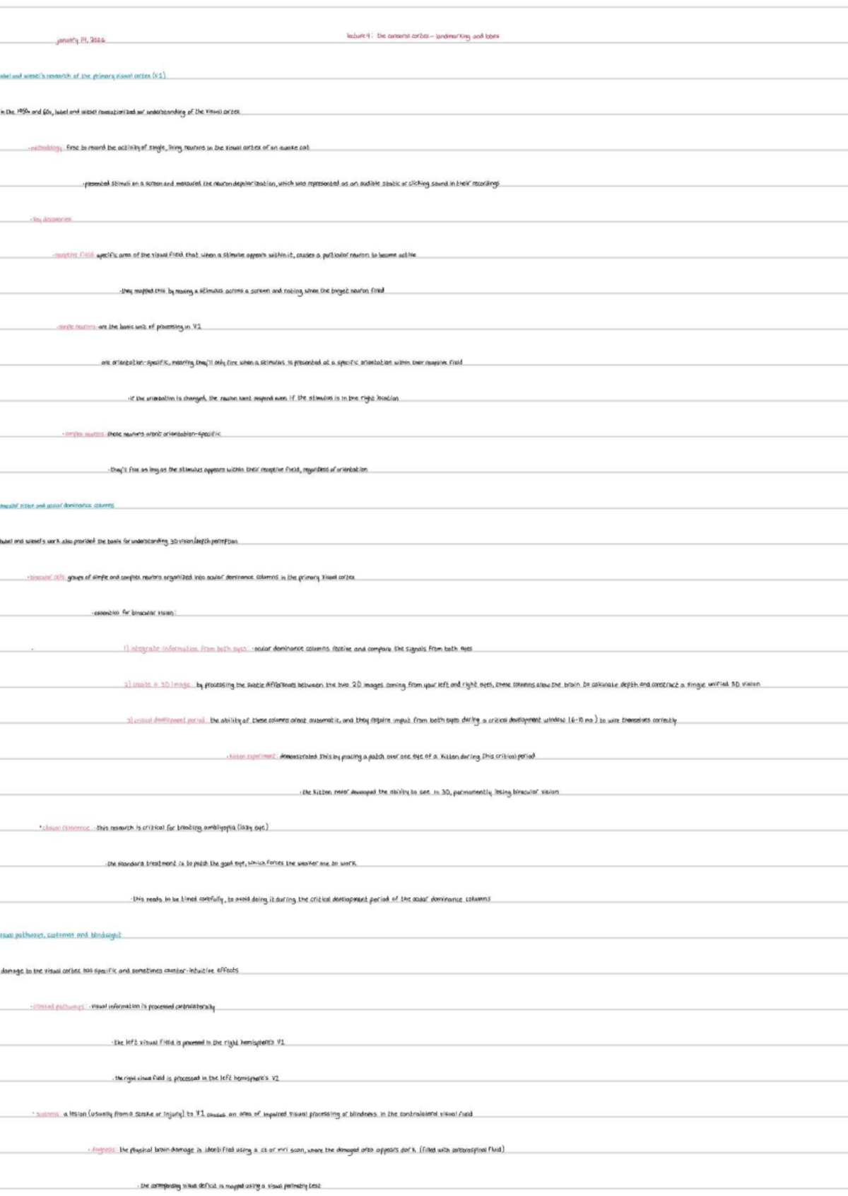 Lec 4 - The Cerebral Cortex: Landmarking, Lobes & Visual Research - Studocu