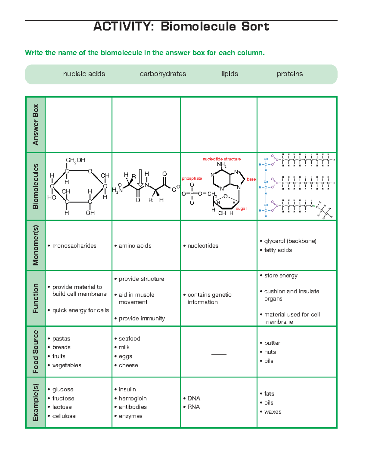 BIO U02 Activity: Sort and Identify Biomolecules - Studocu