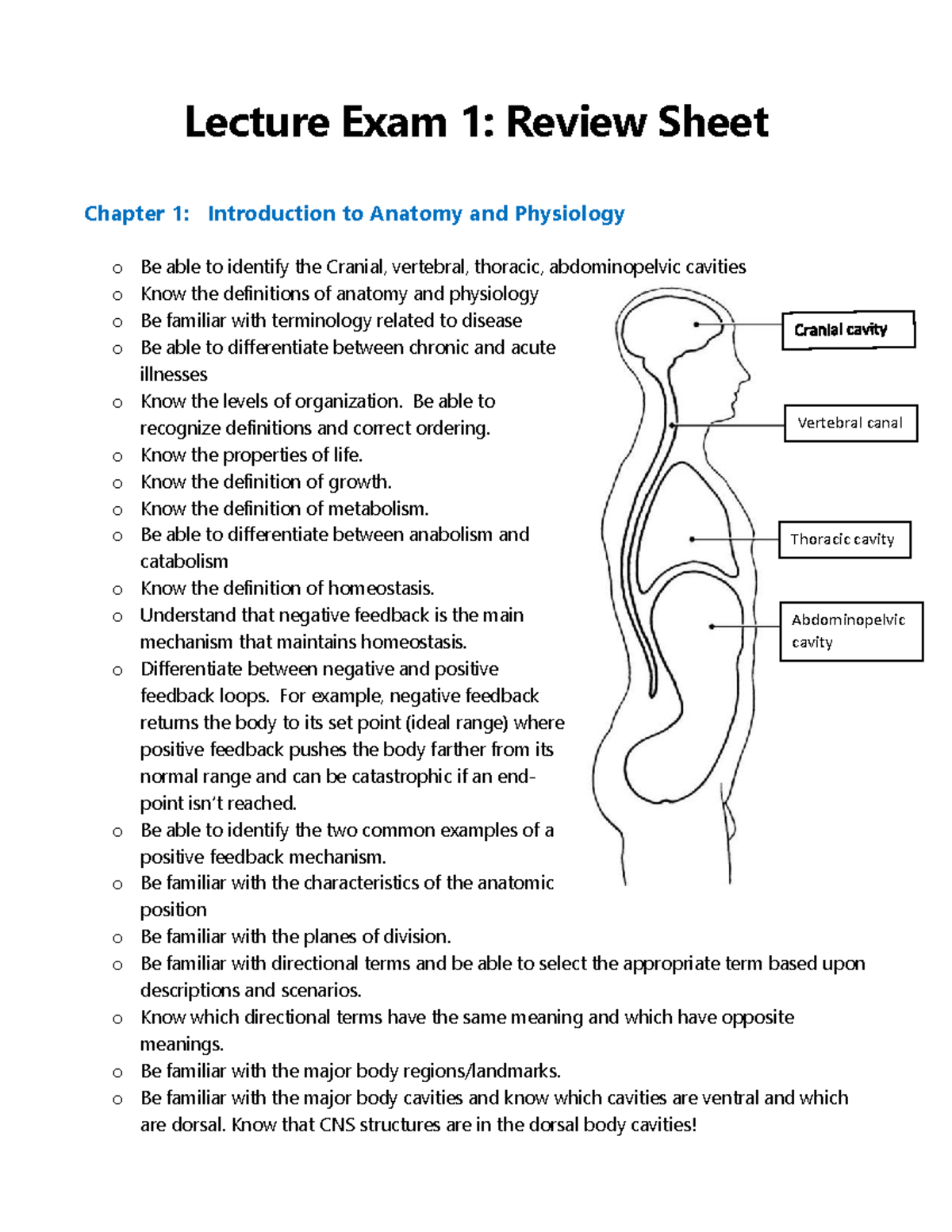 Lecture Exam 1 Review: Key Concepts in Anatomy & Physiology - Studocu