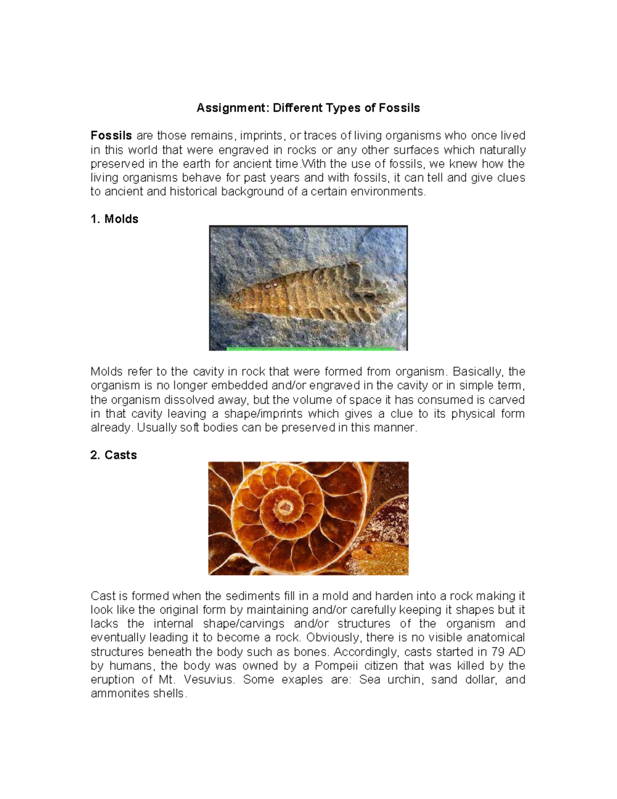 Assignment: Exploring Different Types of Fossils in Earth Science - Studocu