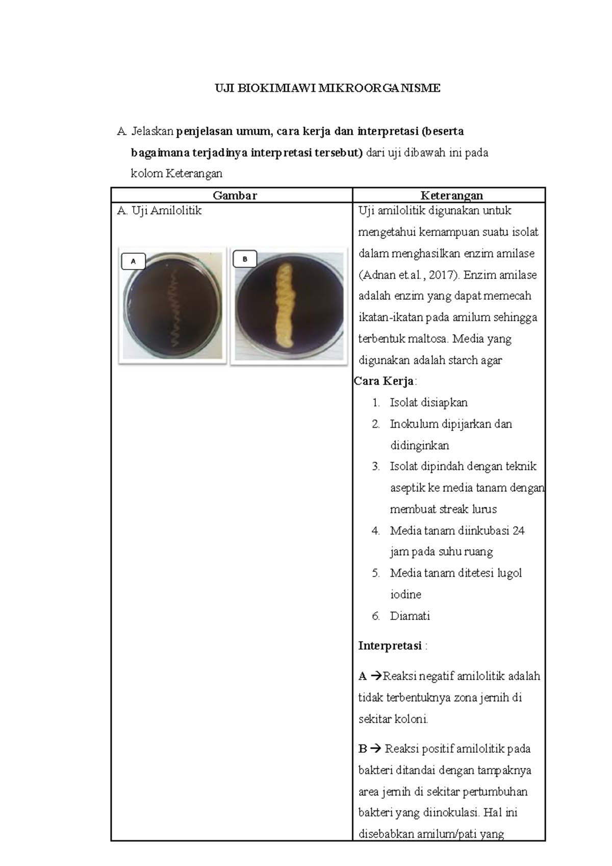 Ujian Biokimiawi Mikroorganisme: Uji Amilolitik, Proteolitik, Katalase ...