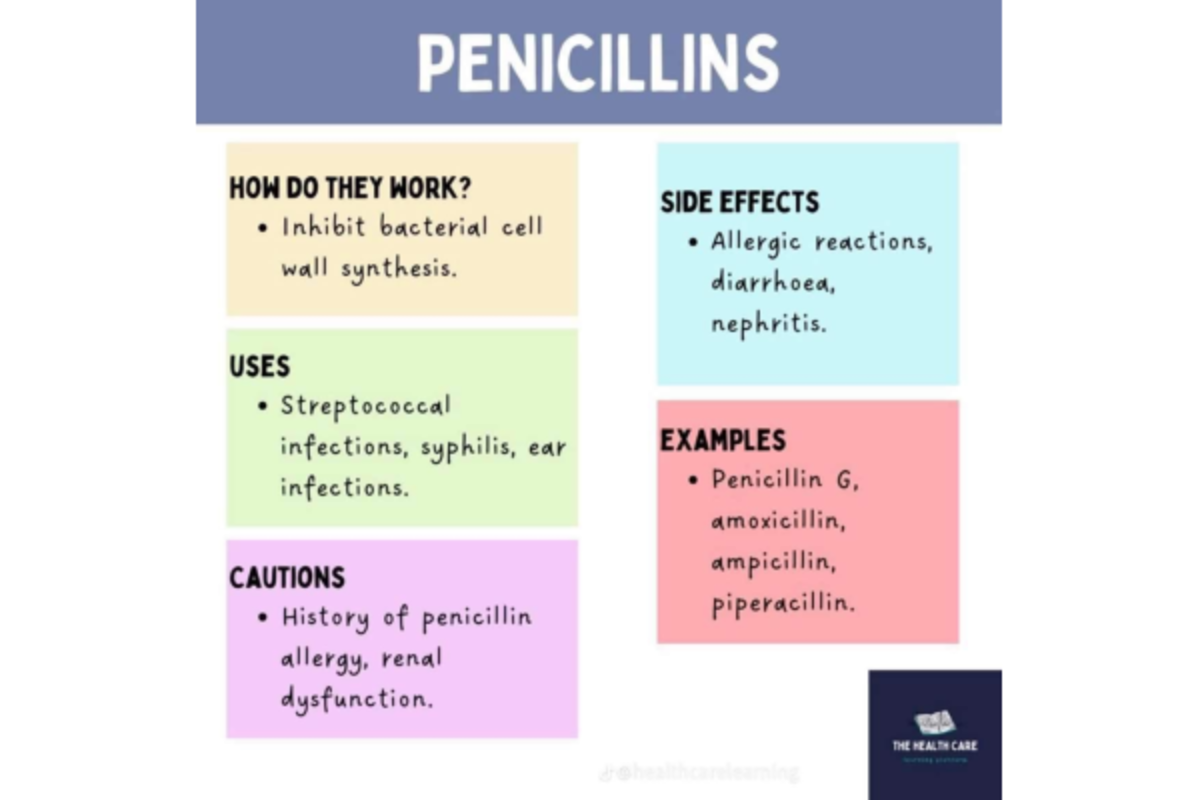 Photo Pharmacology Notes - PENICILLINS HOW DO THEY WORK? SIDE EFFECTS ...