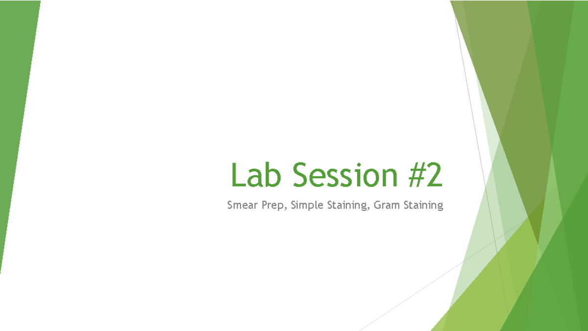 Lab Session #2 - Staining - Lab Session Smear Prep, Simple Staining, Gram Staining Smear ...