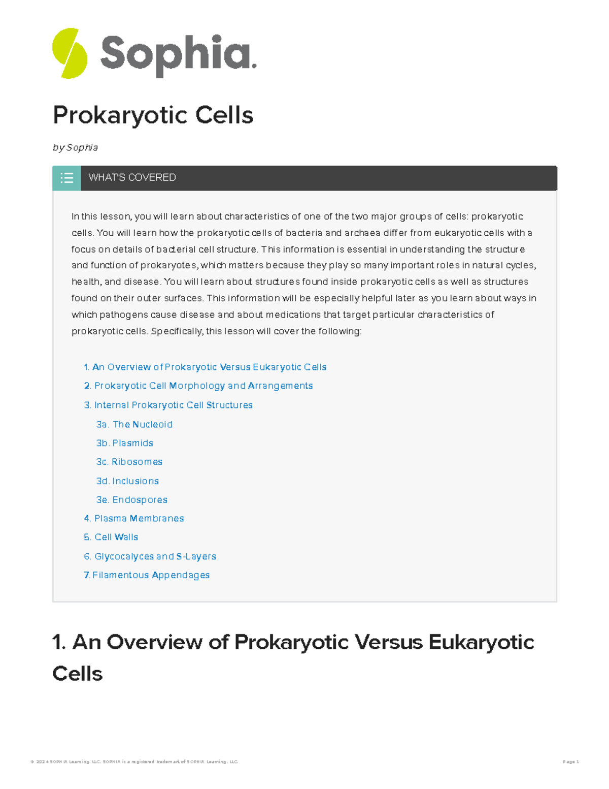 Prokaryotic Cells: Characteristics and Differences from Eukaryotic ...