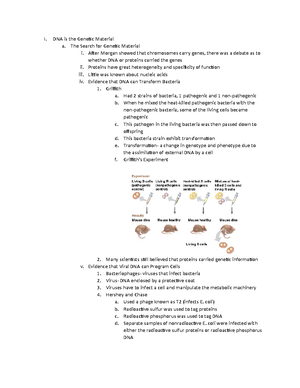Bio lab midterm review - Learning Objectives: BU-TREES Midterm Review ...