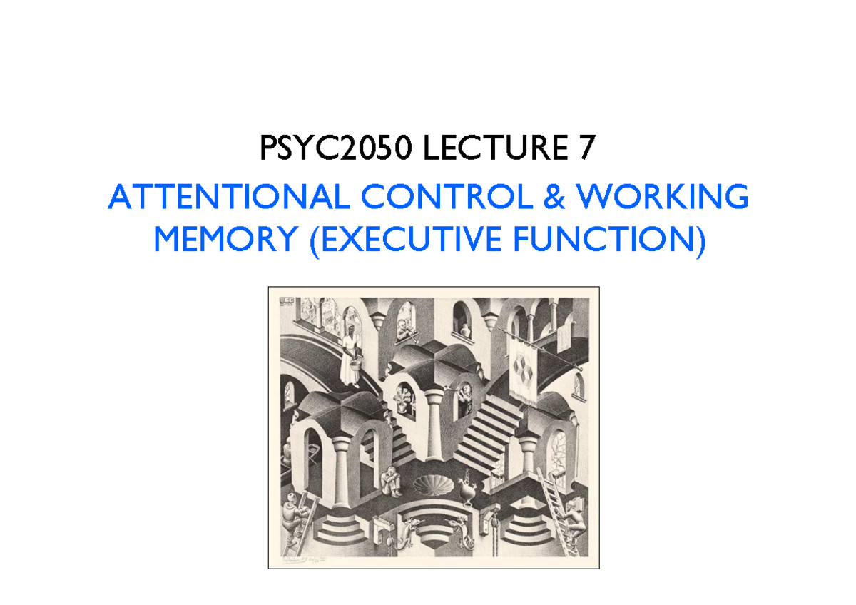 PSYC2050 Lecture Slides week 7 PED1 - PSYC2050 LECTURE 7 ATTENTIONAL CONTROL & WORKING MEMORY ...