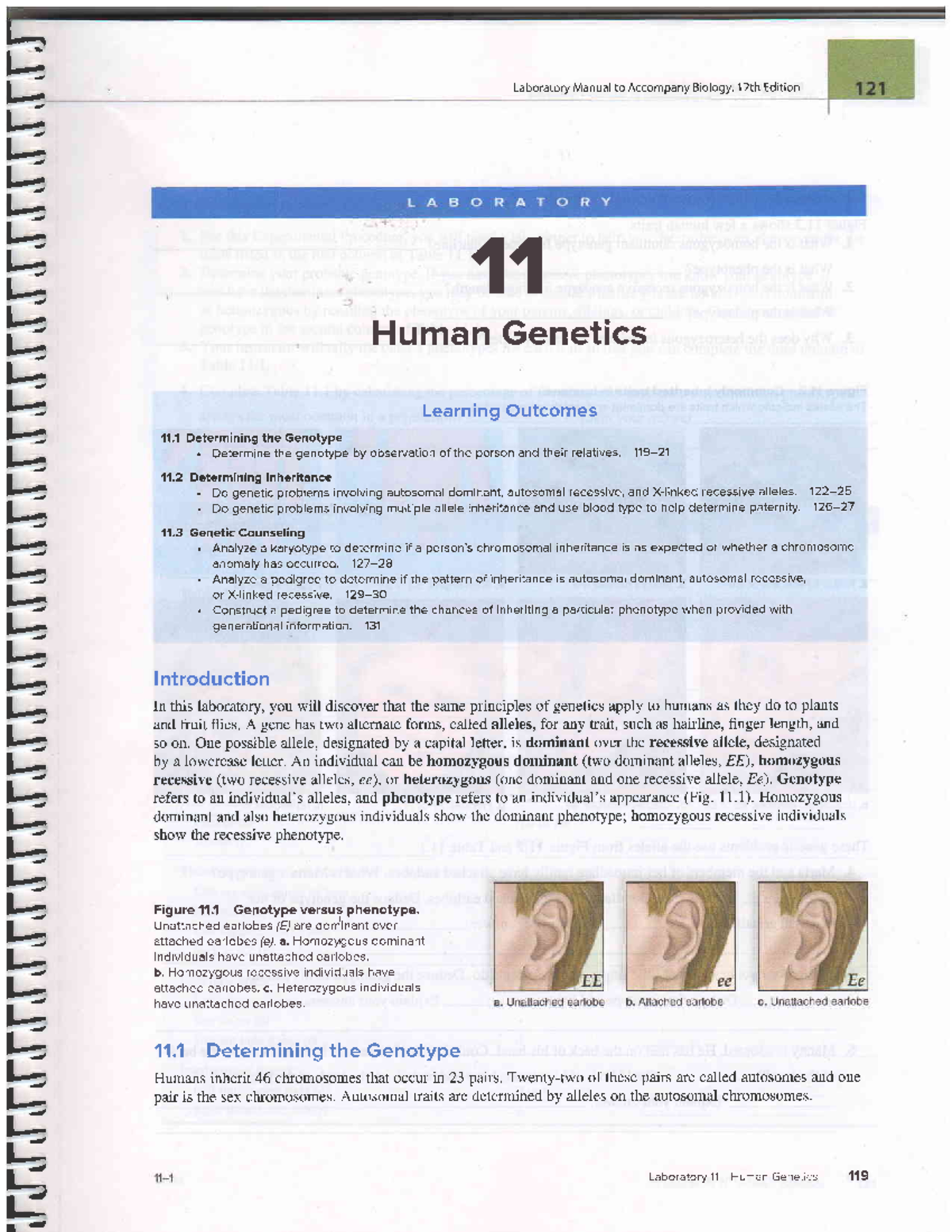 Human Genetics Lab - bio lab - Laboratory Manualto Accompany Biology, 12th Edition L, ; 4 4 4 4 ...